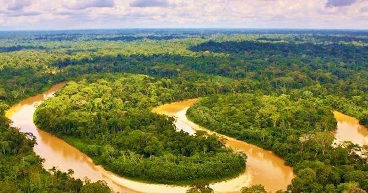 Rainforest Trust UK | Tythe